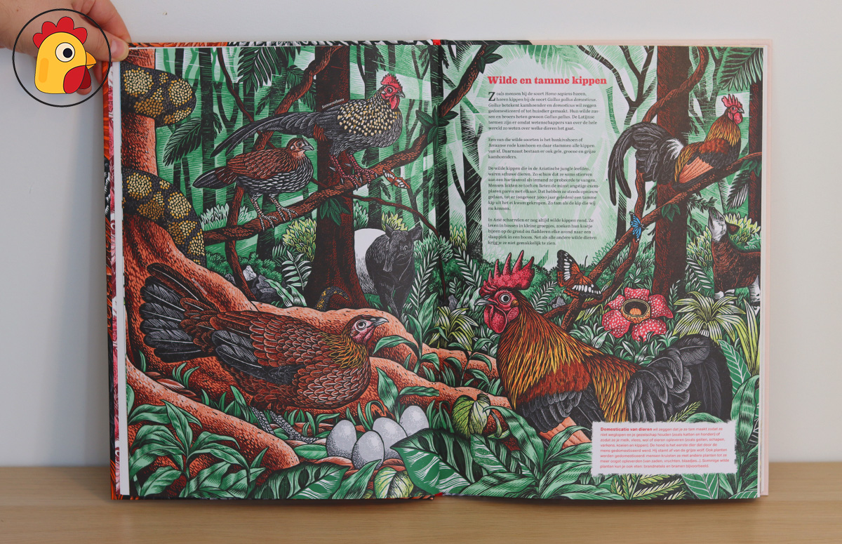 Leestip: Het Grote Kippen Boek - Kippen.be